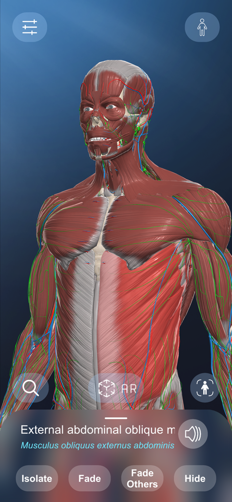 AR Anatomy | Master Human Anatomy with Immersive 3D & AR