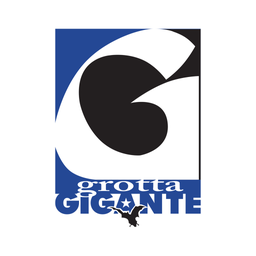 Grotta Gigante - Travel App | MWM
