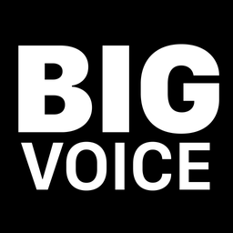 Big Voice - Speech to Big Text - Social Networking App | MWM