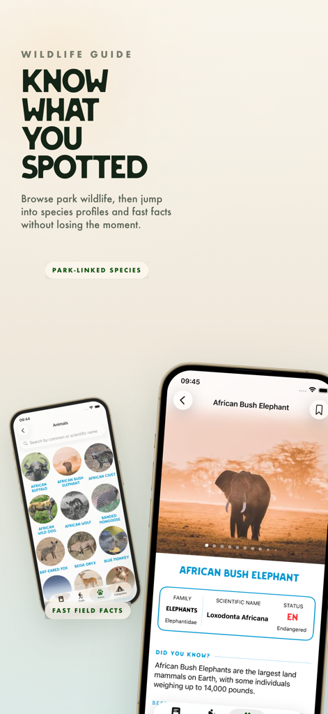 Savanna Guides - Travel App | MWM
