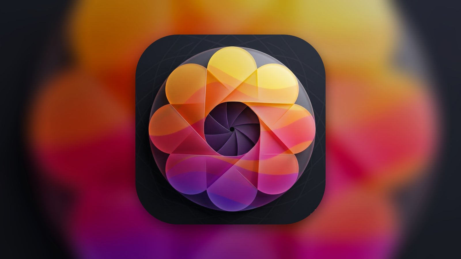 Selects: - Photo & Video App | MWM