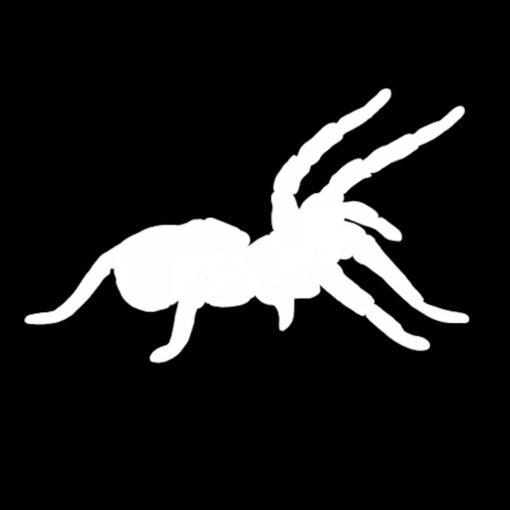 Spider League: Arena | The Fantasy League for Spider Hunting
