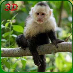 Monkey Simulator - Wild Life - Games App | MWM