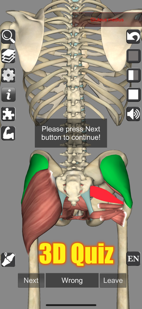 3D Anatomy | Interactive Human Anatomy & Virtual Dissection