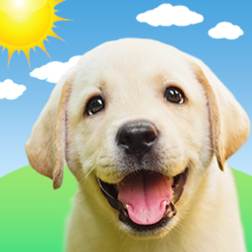 Weather Puppy Forecast + Radar - Weather App | MWM