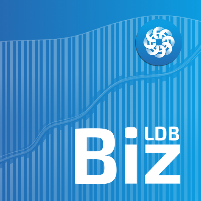 LDB Biz - Finance App | MWM