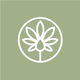 Dr. Sativa - Medical App | MWM