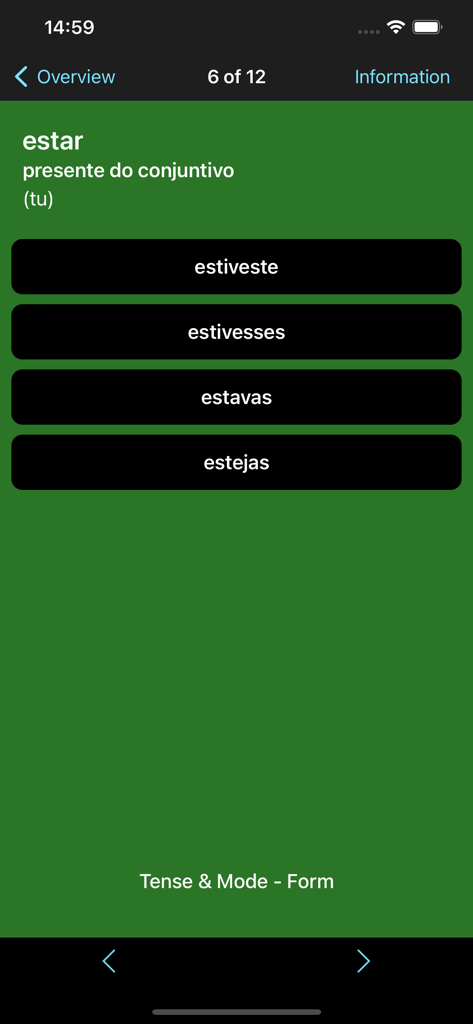 Portuguese Verbs & Conjugation - Education App | MWM