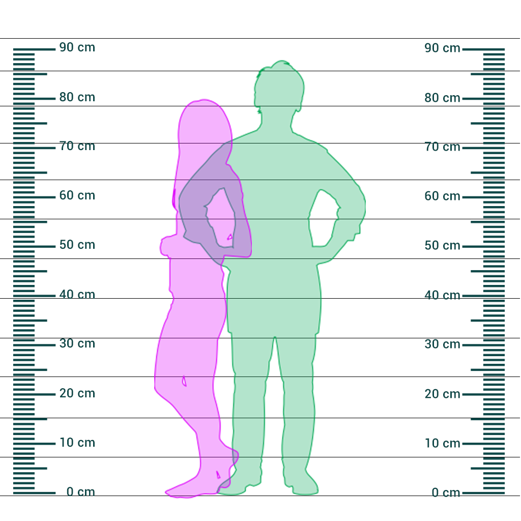 Height Comparison: Hikaku | The viral height gap visualizer
