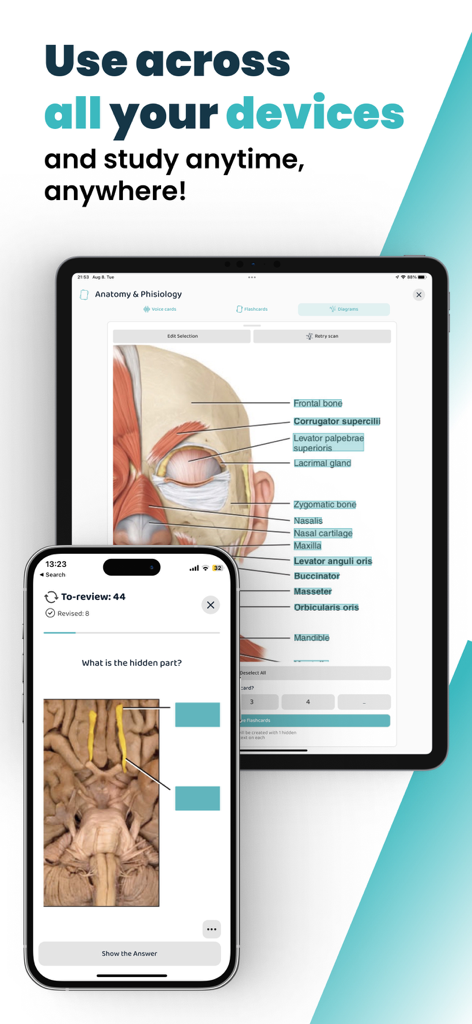 Voovo | AI Flashcards & OCR Diagrams for Faster Studying