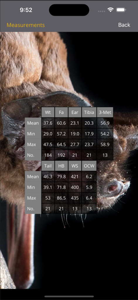 Field Guide to Australian Bats - Reference App | MWM
