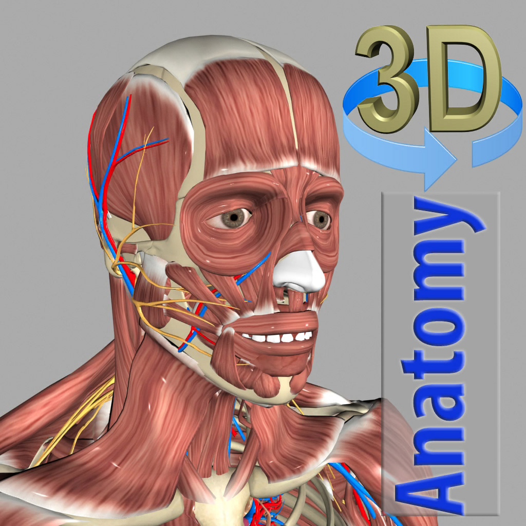 3D Anatomy | Interactive Human Anatomy & Virtual Dissection