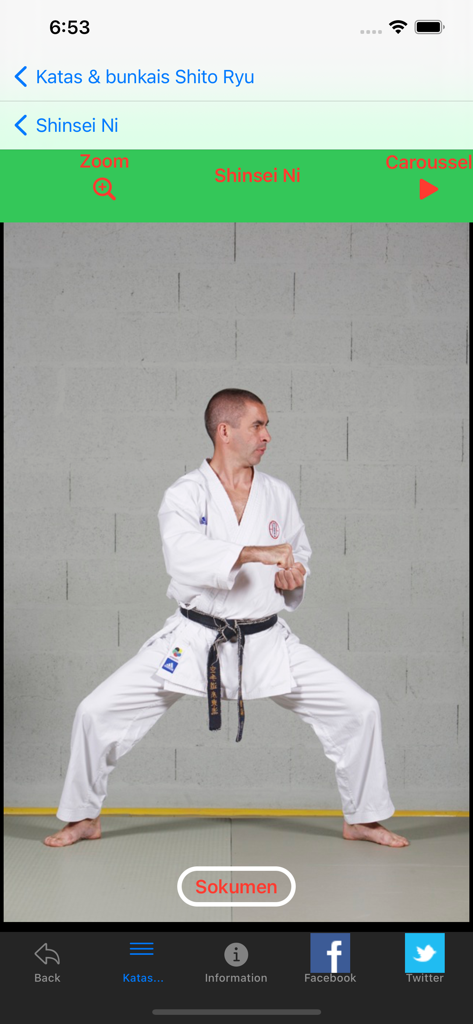 KARATE SHITO-RYU1 - Sports App | MWM